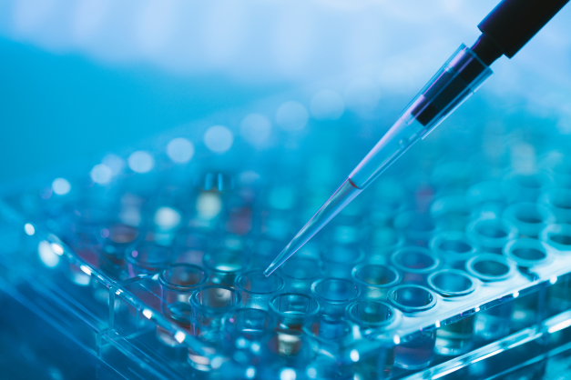 About | Marea Therapeutics